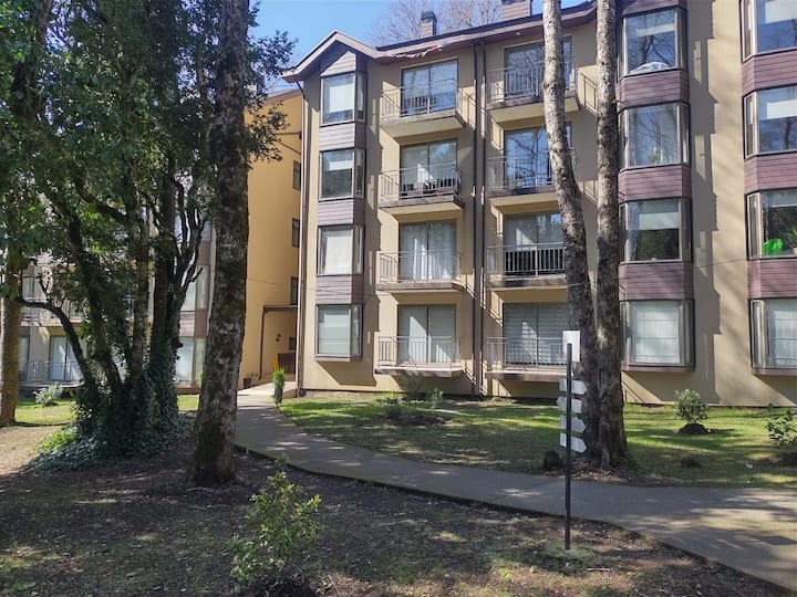 Departamento Pucón Full Equipado. - Pucon