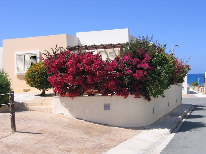 Stunning Detached Villa 60 Metres From The Sea. - Argaka