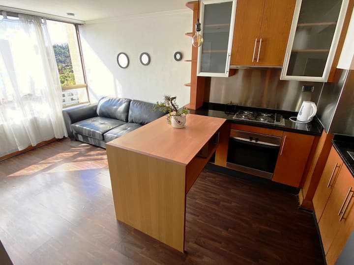 Dpto Dos Habitaciones - Recoleta, Chile