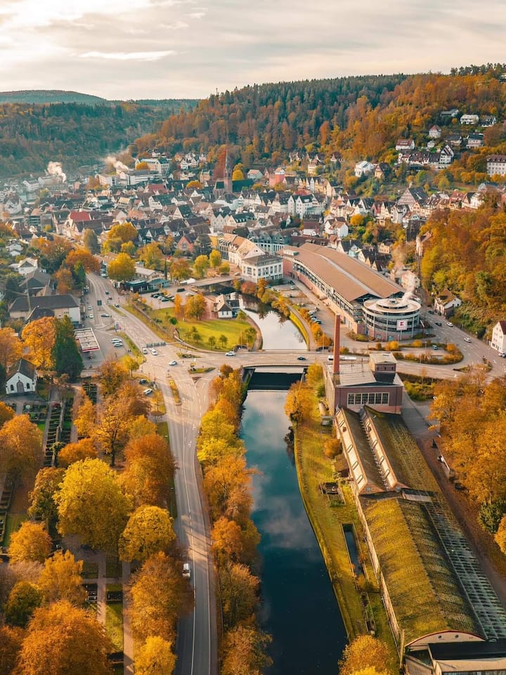 Bella - Calw