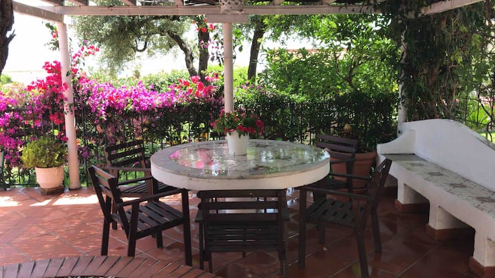 Elisa Apartment Taormina  Bay - Sant'Alessio Siculo