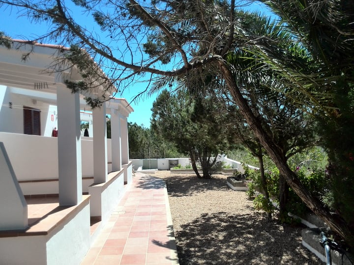 Apartamento A 150 M De La Playa De Migjorn. - Formentera