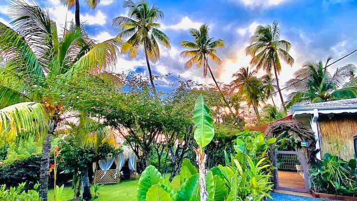 Cottage Majo Lounge Dans Un Jardin Tropical - Le Prêcheur