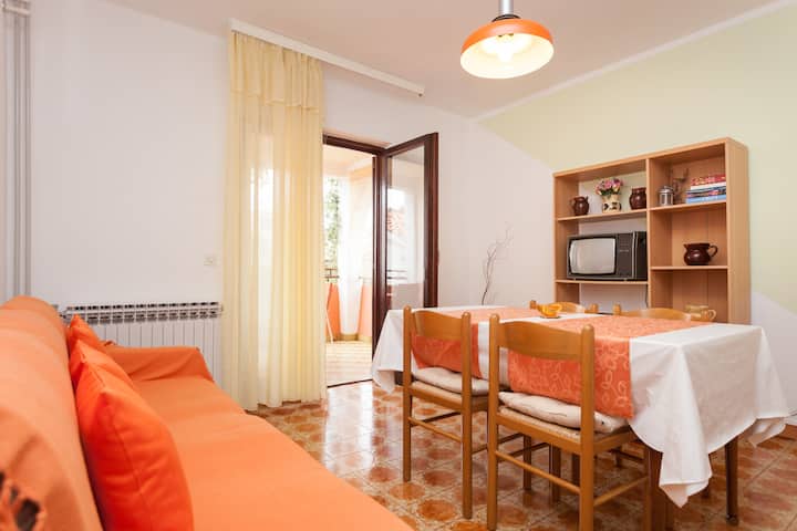 Nera-enjoyable Apartment For 2 Or 3 In Rovinj - Rovinj