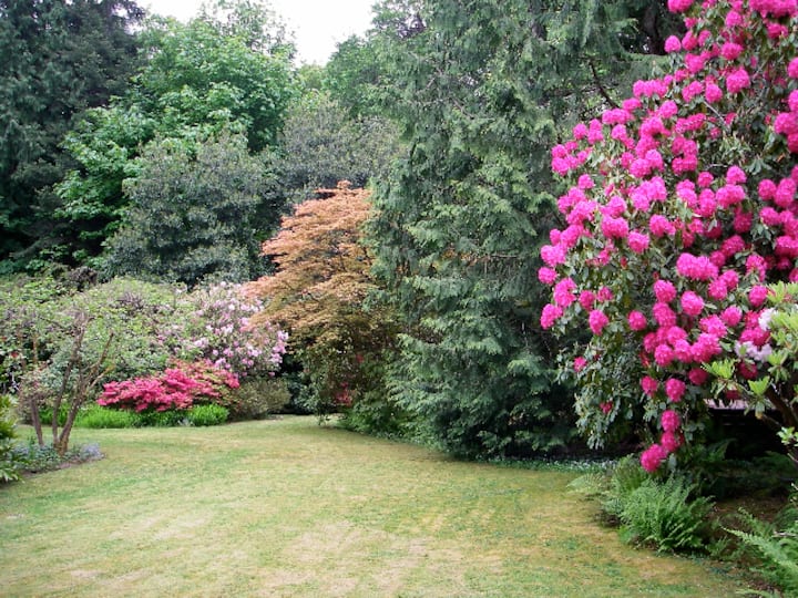 Cozy Studio With Gardens, Woods And Beach - Bainbridge Island, WA
