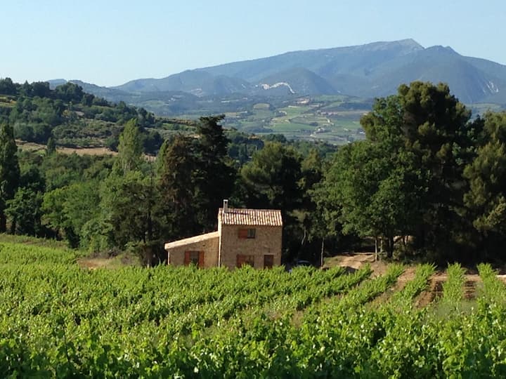 Gite Provencal - Vaison-la-Romaine