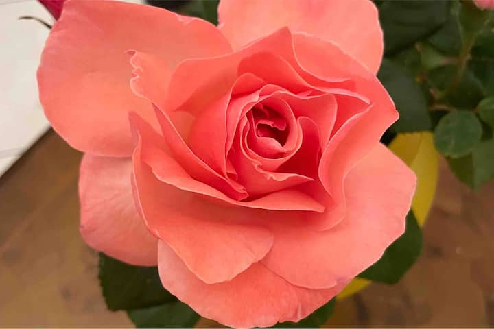 Camera Nel Cuore Di Cagliari - Cagliari