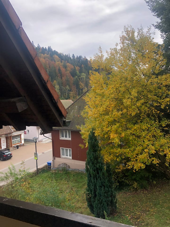 Lichtdurchflutete Schwarzwald Lodge Appartement - Herrischried