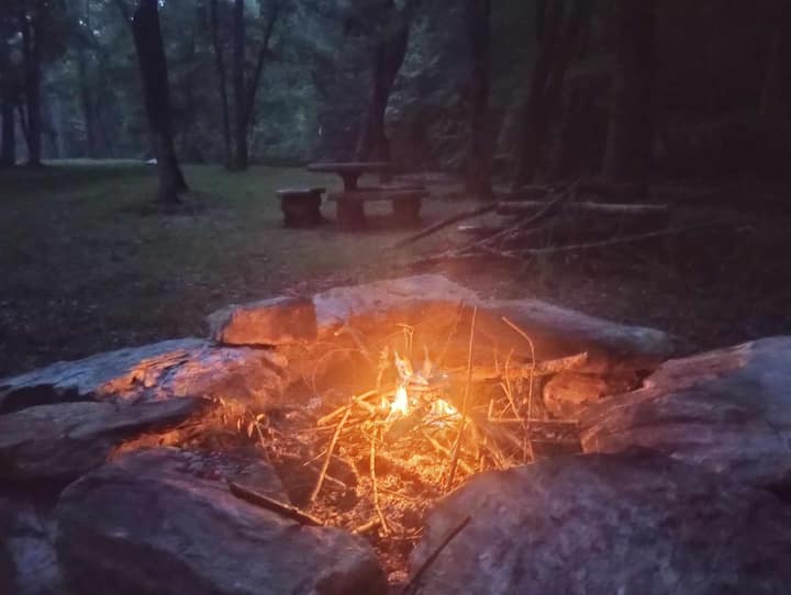 Creekside Calm At Treetop | Pinhoti Trail Hideaway - Talladega, AL