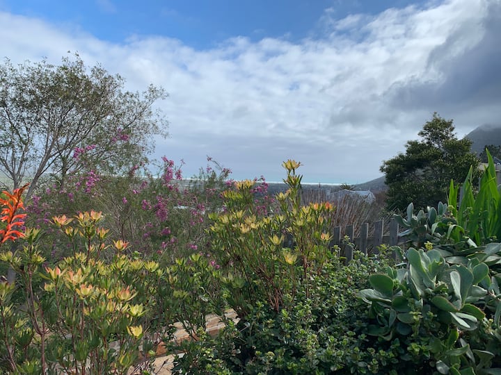 Sapphire Studio - Le Cap