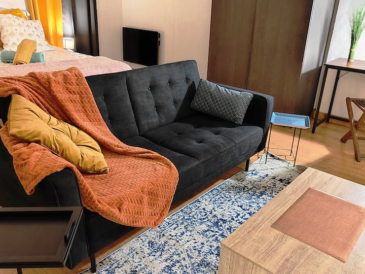 Appartement Centre Ville Carmaux - Carmaux