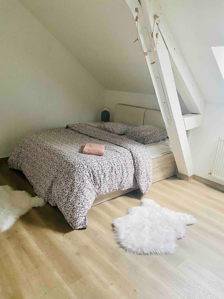 Charmante Chambre Privée - Thionville