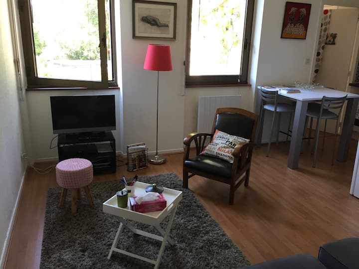 Appartement Charmant Toulouse Jardin Des Plantes - Toulouse