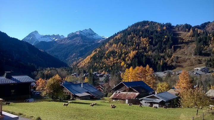 Chalet Savoyard Au Pied Du Mont-blanc, Jusqu'à 10p - Lacs Jovet