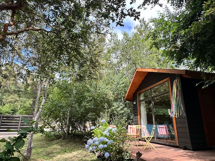 Amor Por El Bosque - Pucon