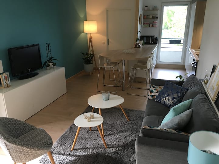 Charmant 2 Pièces Refait à Neuf Idéalement Situé - Estrasburgo