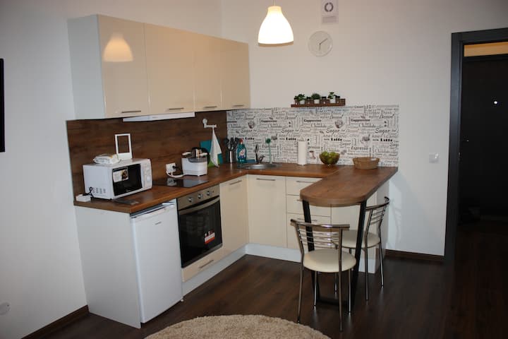 Family Apartment With Balcony - San Petersburgo
