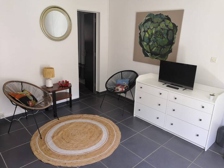 Grand Studio "Maison D'adèle" Proche Mer - Binic