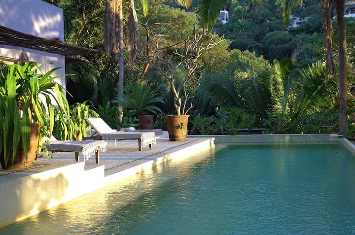 Tropical Architectural Gem - Conchas Chinas