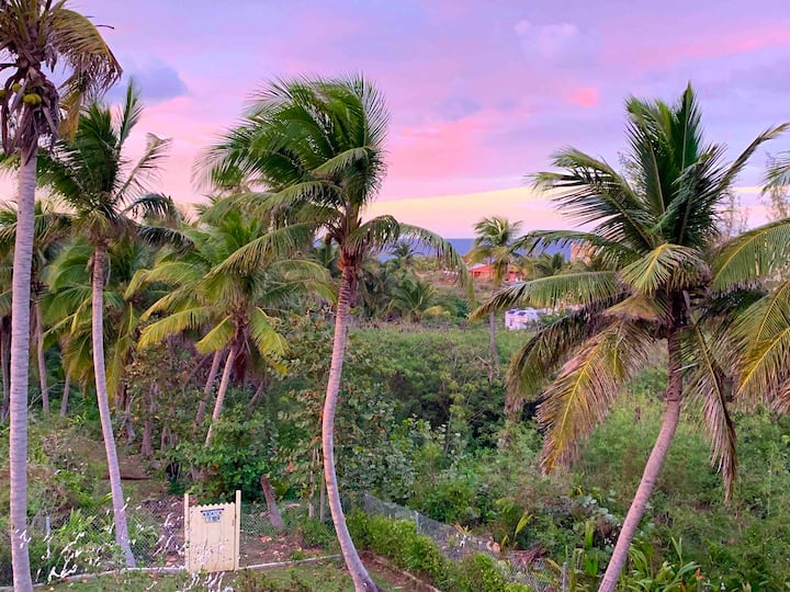 Private Beach Path Walk To Shacks Jobos Restaurant - Isabela
