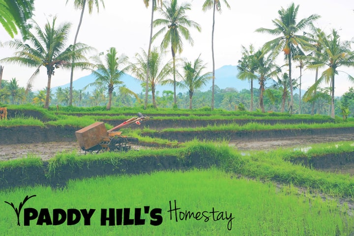 Paddy Hills Homestay Bed&bfast - Banyuwangi
