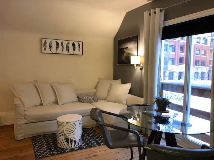 Cozy Studio Steps To The Canal  Glebe Elgin  T.d. - Ottawa