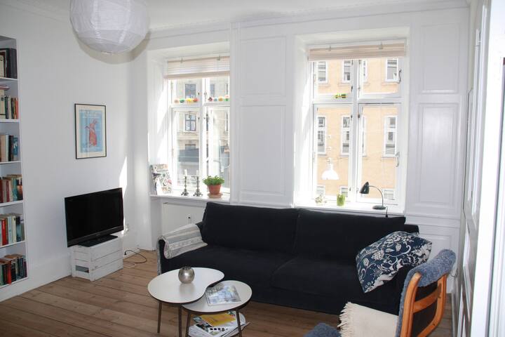 Skön Och Stor Lägenhet I Centrala Köpenhamn - Copenaghen