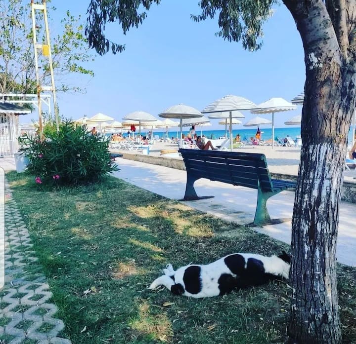 Duplex Villa In The Complex - Silivri