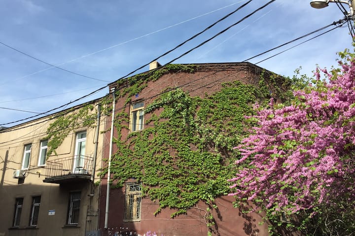 3 Min Walk To Rustaveli Avenue - Tbilisi