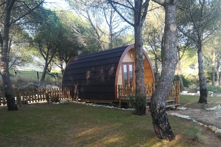 Cabine 2-  Tout L’espace Dans La Nature - Sintra