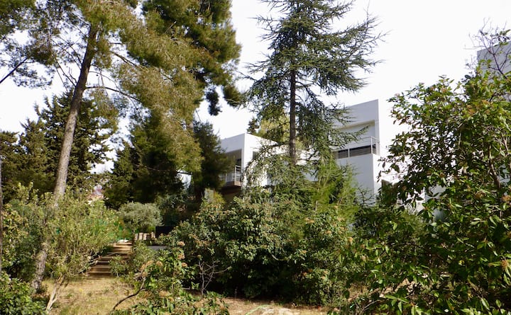 Au Pied Des Calanques : Maison 5* D'architecte. - Le Castellet