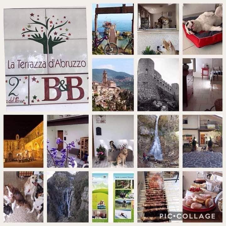 B&b Dog Friendly Nel Parco Nazionale Della Majella - Fiorentini