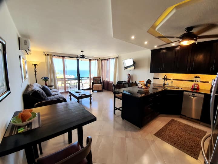 !Ocean View Endless!  Walk To Beach. Fast Wifi - San José del Cabo