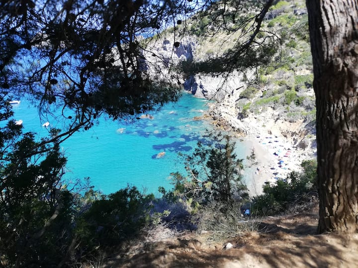 Appartamento P.s.stefano Fronte Mare - Orbetello