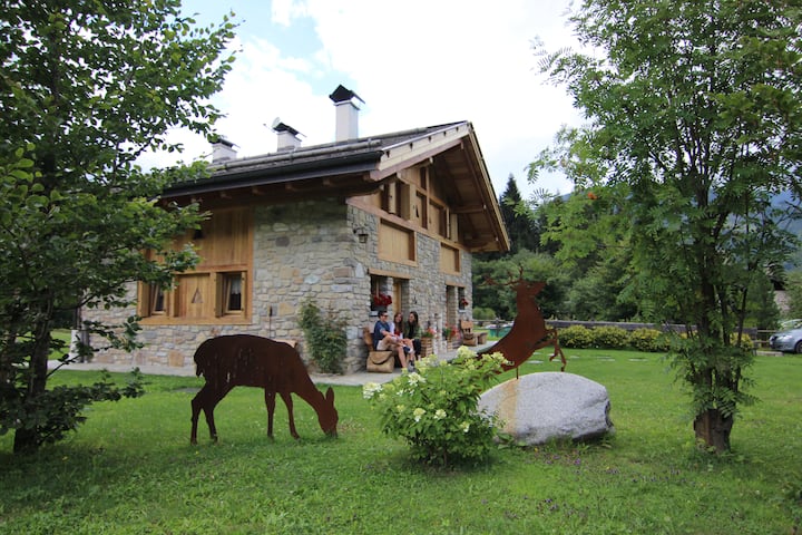 Chalet Lago Dei Caprioli (Apartment N°1 ) - Madonna di Campiglio