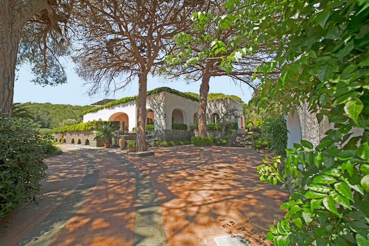 Magnifica Villa Con Giardino E Piscina - Ischia