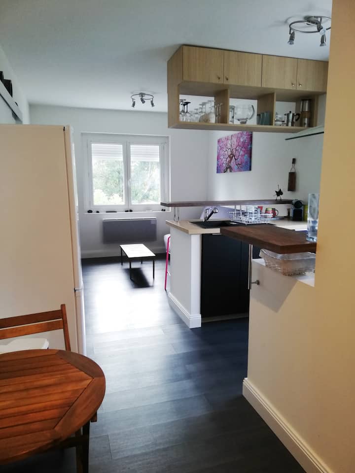 Appartement T2 Meublé Au Calme - Villeneuve-sur-Lot