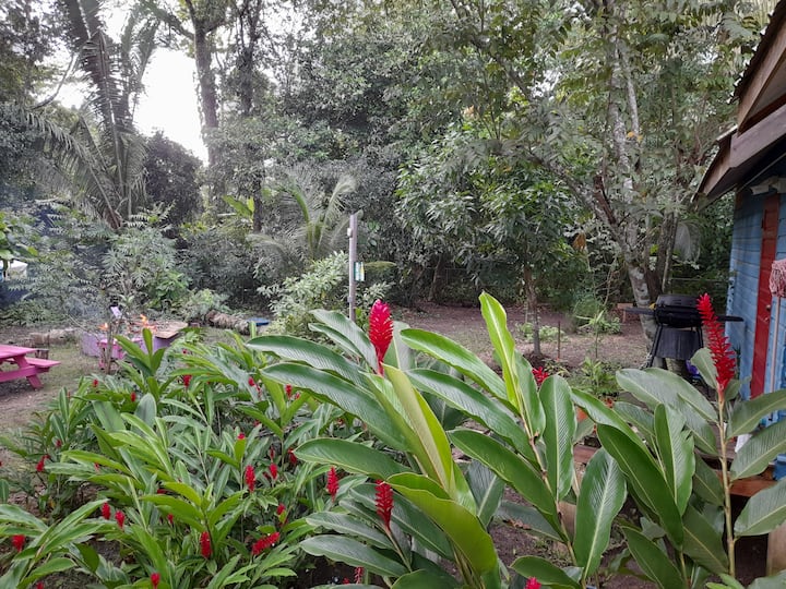 Belmopan Tiny House Relaxing Jungle House - Belmopan