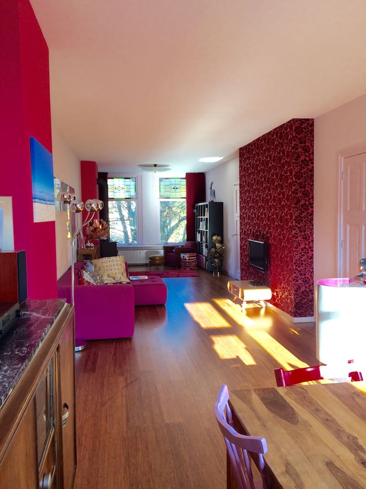 Cosy And Spacious Near City Center - Rotterdam