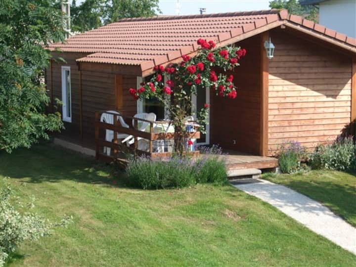 Chalet Edelweiss En Bois Confort Et Nature Vosges - Plombières-les-Bains