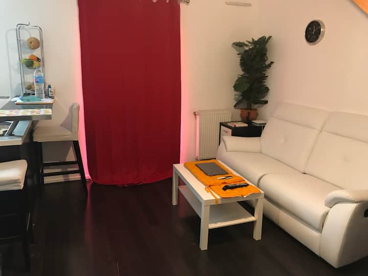 Belle Chambre 29 Km De Paris Et Proche De Disny - Bussy-Saint-Georges