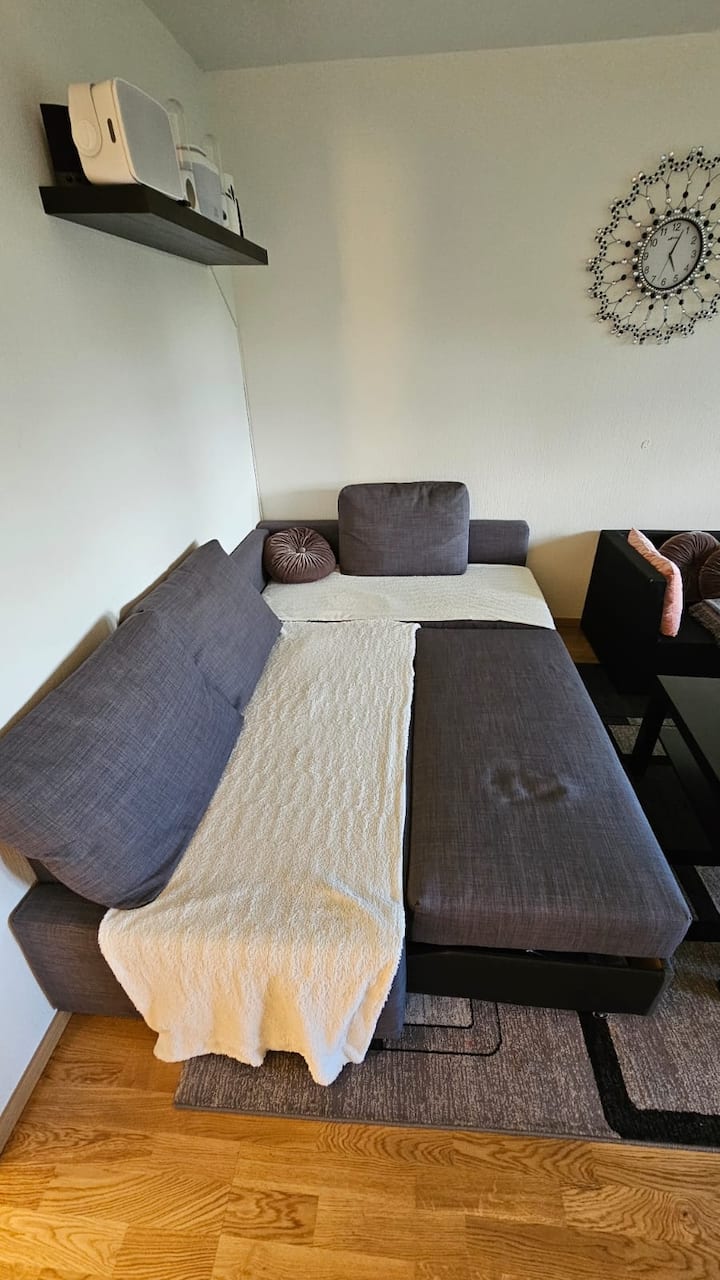 Entire Place Large Apartment - Malmö