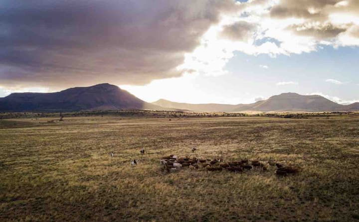 Lootsberg Pass Furnished Monthly Rentals and Extended Stays | Airbnb