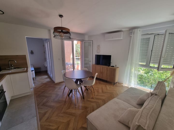 Appartement Avec Terrasse Et Piscine, Proche Plage - Pyrénées-Orientales