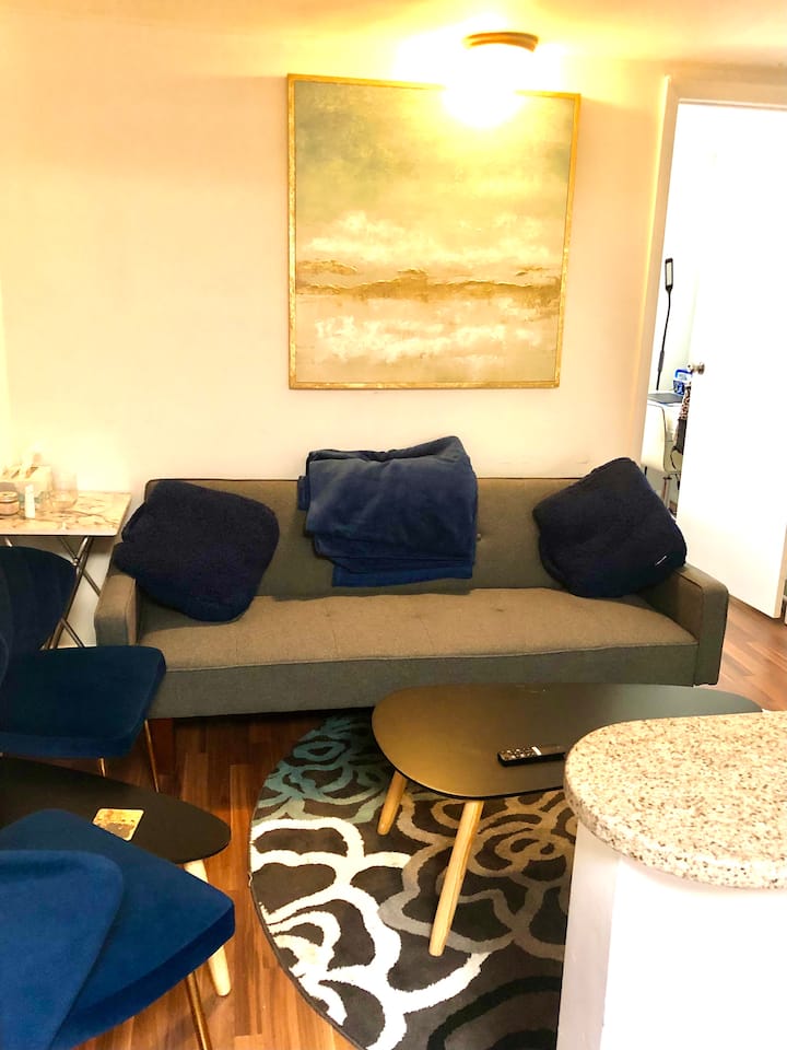 Sunny 2 Bdrm Apt In Manhattan’s Gramercy Area - Hoboken, NJ