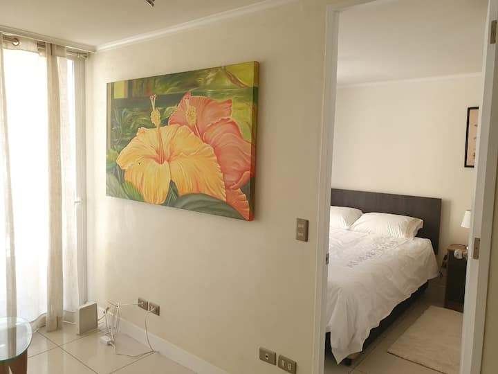 Departamento Cómodo Y Lindo  Santiago Centro - Santiago