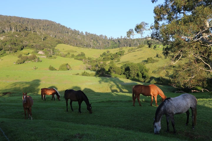 River Cottage - Central Tilba - Farm stays for Rent in Central Tilba ...