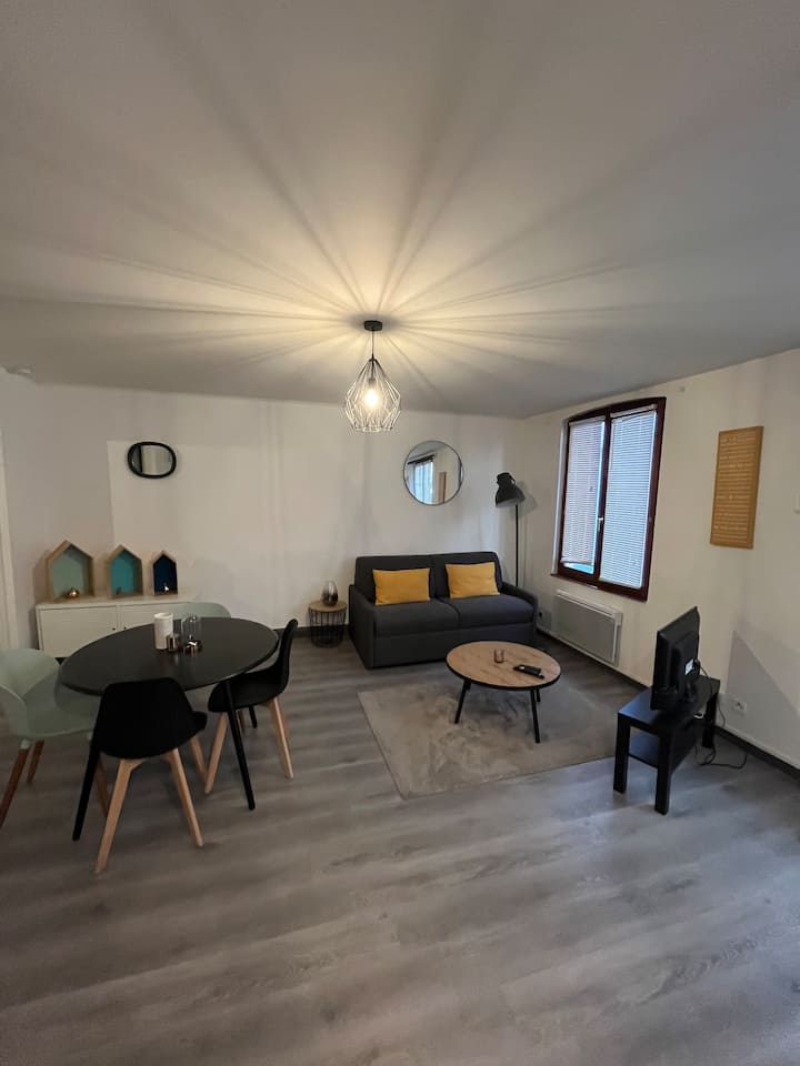 ⭐️ Appt Cosy Hyper-centre De Colmar. - Colmar