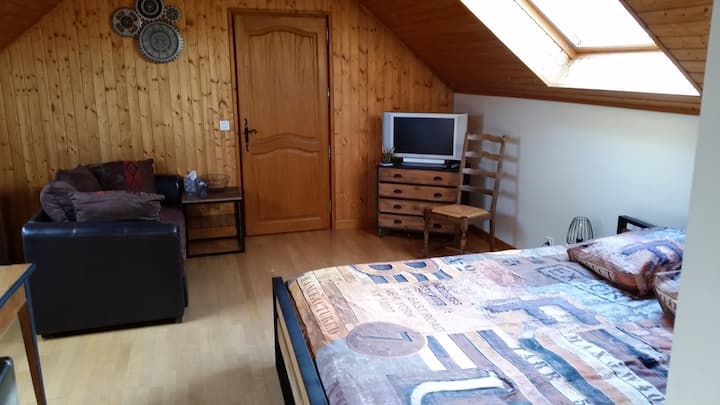 Le "Grenier Des Noisettes"    Studio Privé De 28m2 - Annemasse