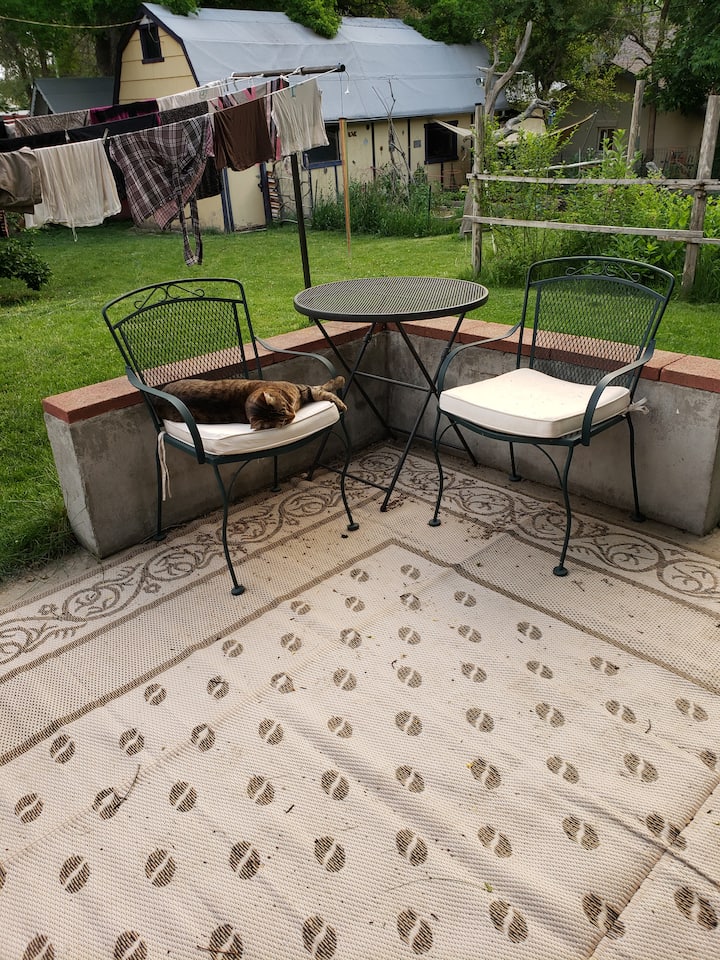 Old Town Oasis With Gardens, Chickens & Cats - Longmont, CO